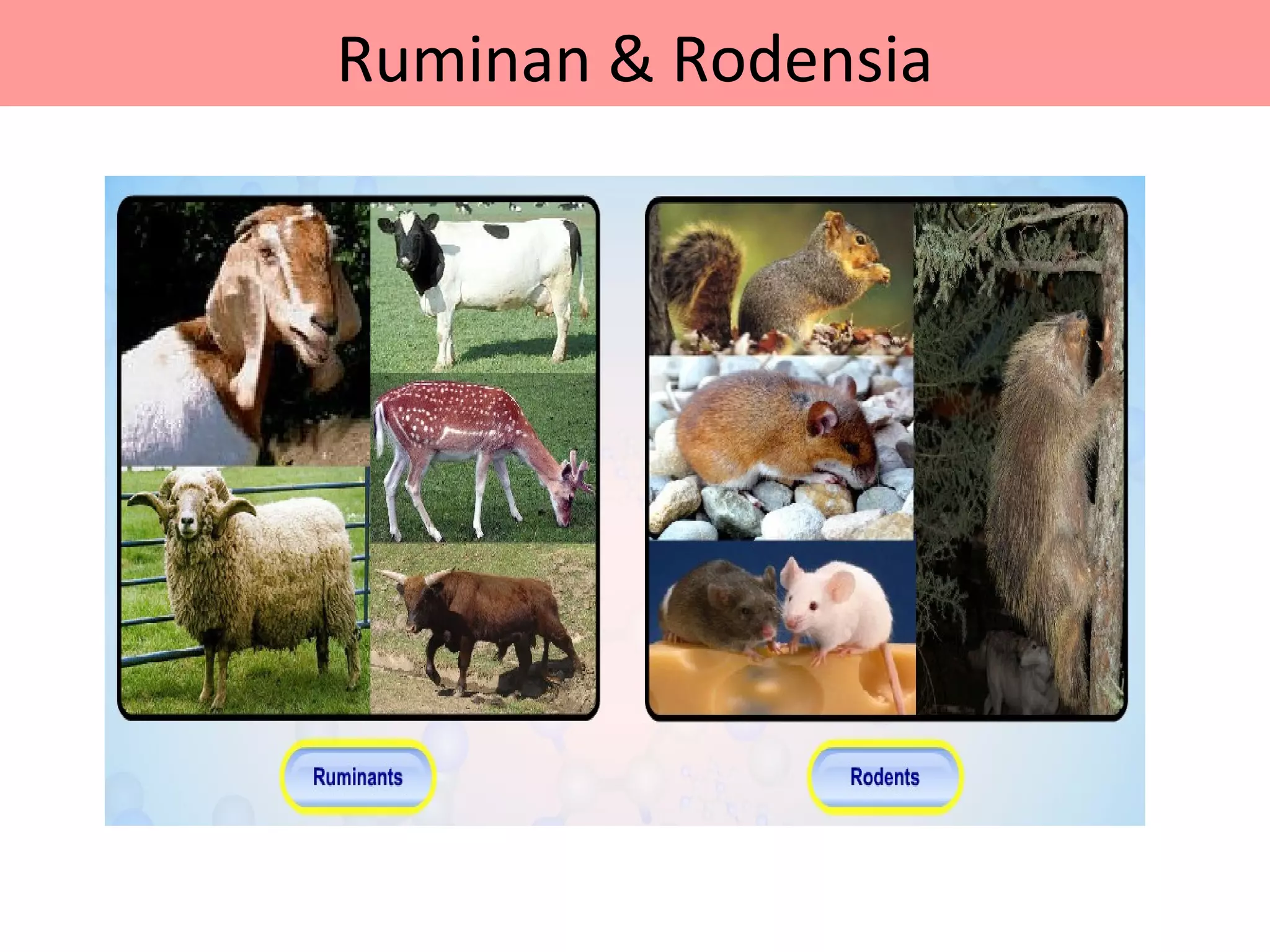 Lesson 6.4 part 2 | PPT