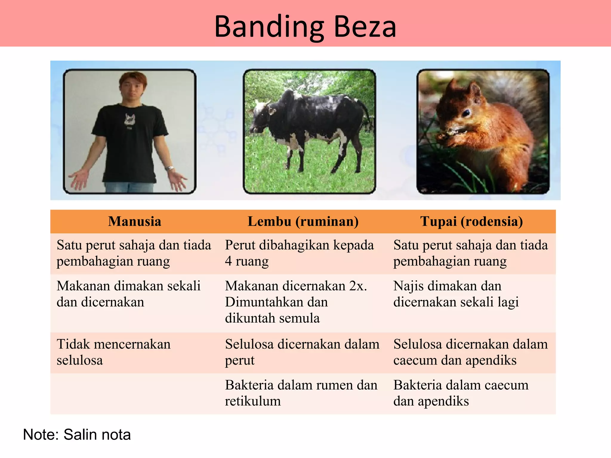 Lesson 6.4 part 2 | PPT