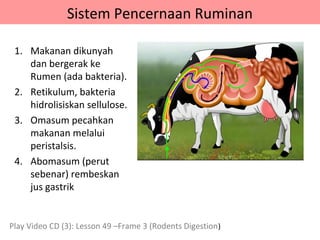Lesson 6.4 part 2 | PPT