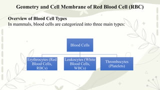 Lesson 6 - Biomaterial Reactions in Blood.pptx