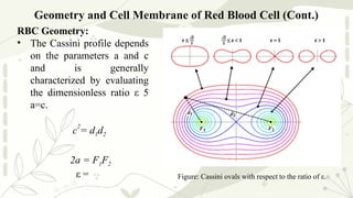 Lesson 6 - Biomaterial Reactions in Blood.pptx