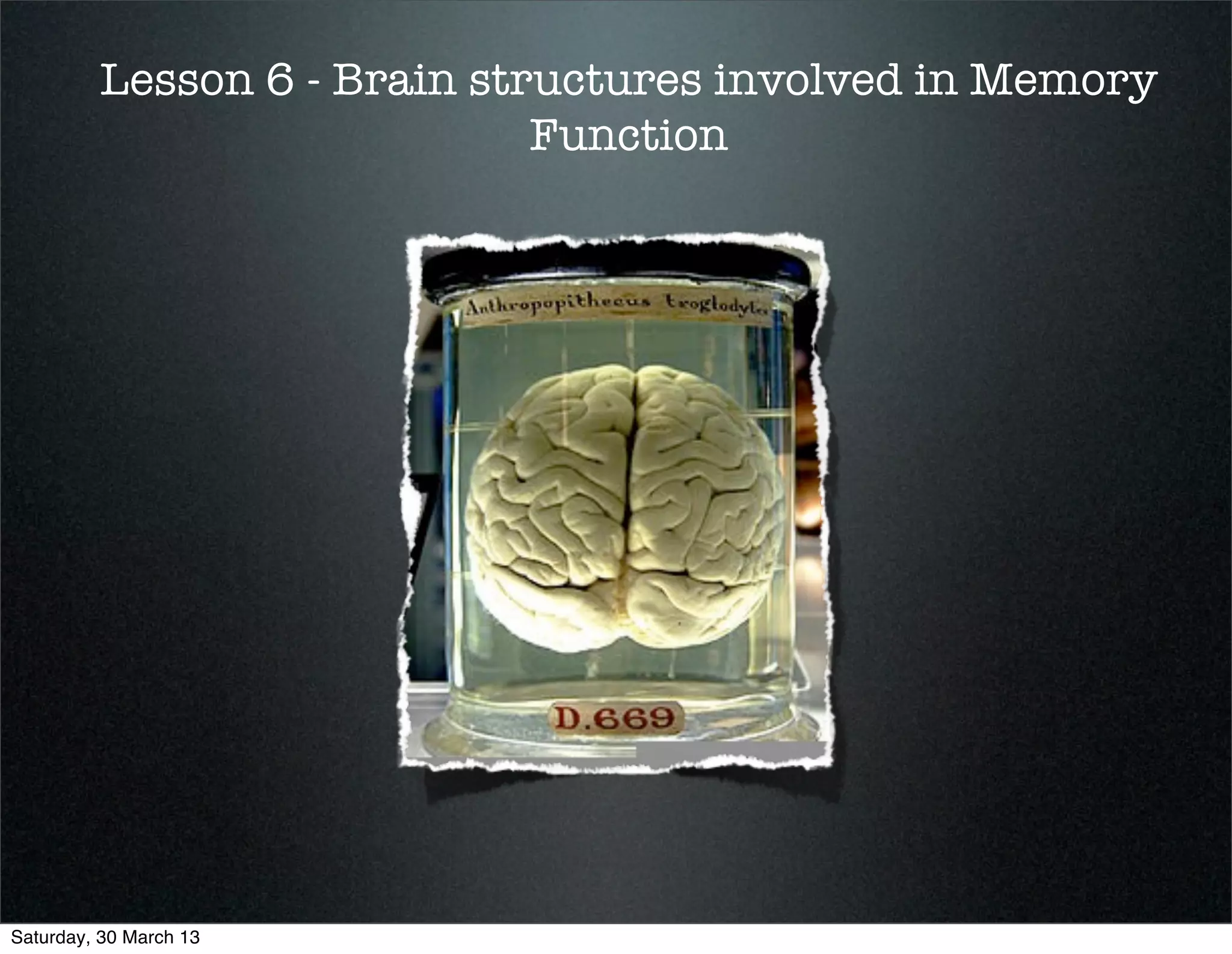 Lesson 6 brain structures involved in memory function 2013 | PDF
