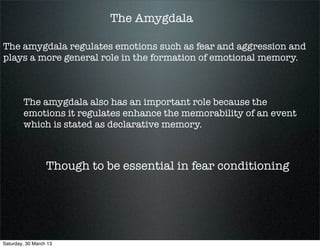Lesson 6 brain structures involved in memory function 2013 | PPT