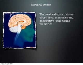 Lesson 6 brain structures involved in memory function sh | PDF