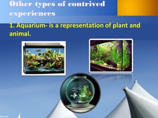 Lesson 6 contrived experience | PPT