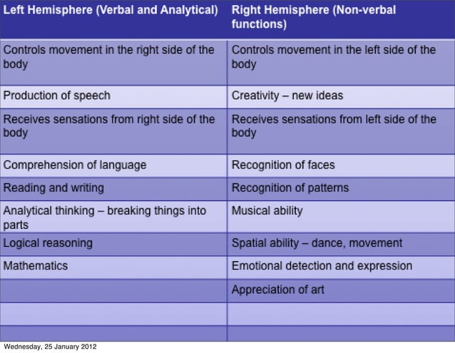 Lesson 6 hemispheric specialisation | PDF | Brain and Nervous System ...
