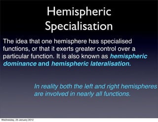 Lesson 6 hemispheric specialisation | PDF