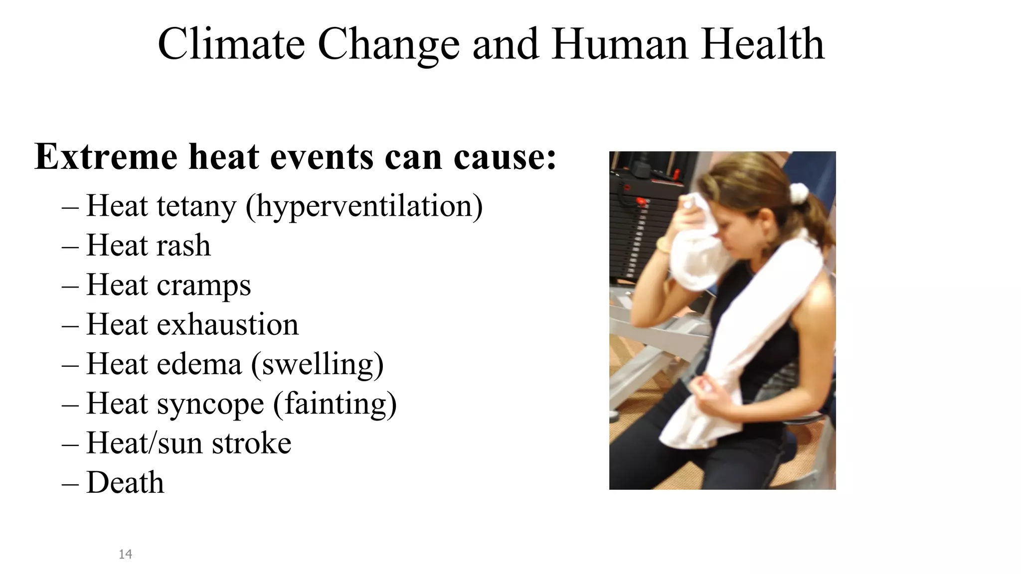 Lesson 6 human responses | PDF