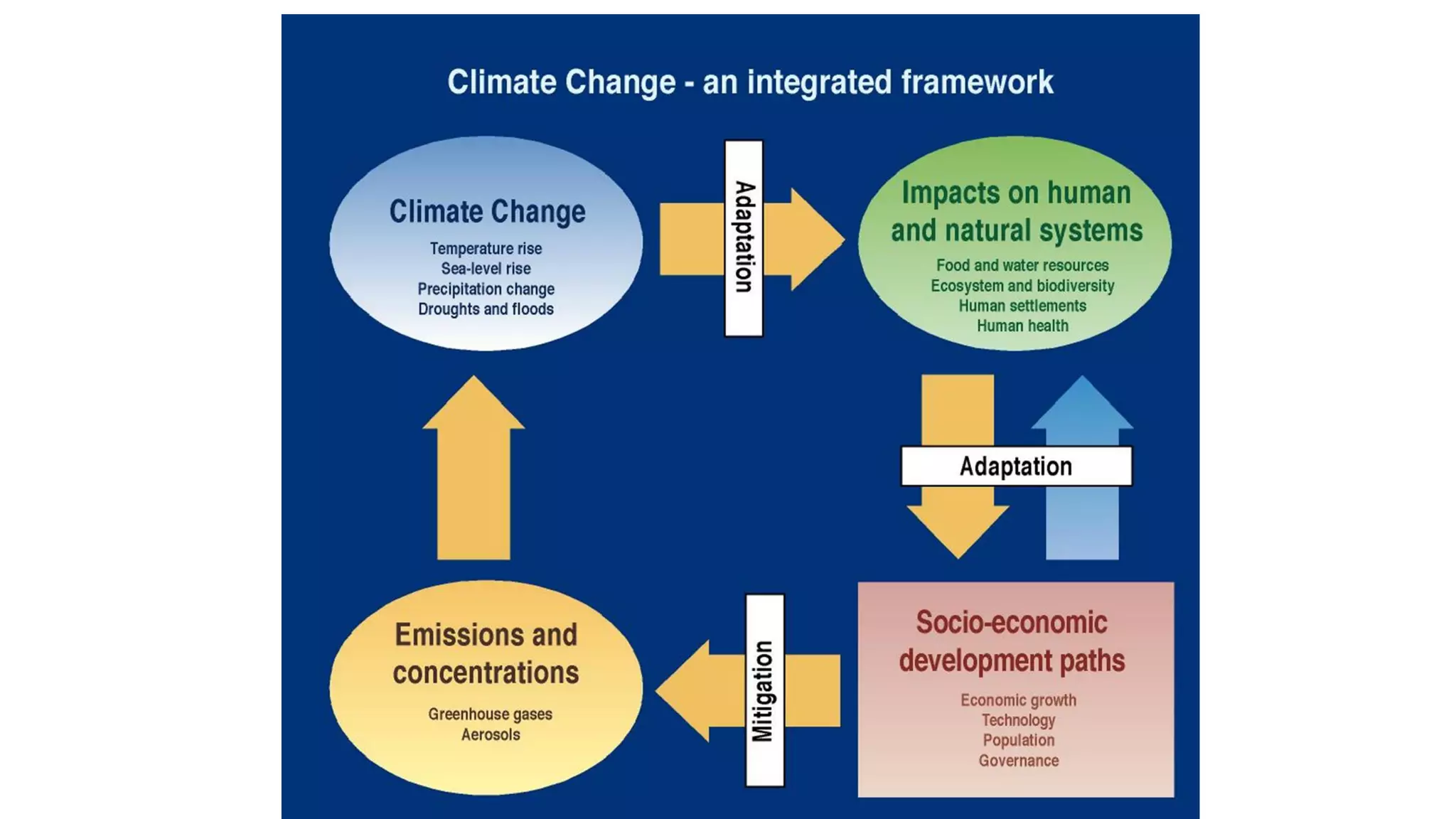 Lesson 6 human responses | PDF
