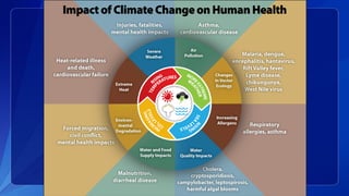 Lesson 6 human responses | PDF