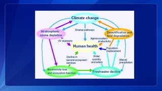Lesson 6 human responses | PDF
