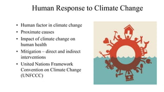 Lesson 6 human responses | PDF