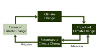 Lesson 6 human responses | PDF