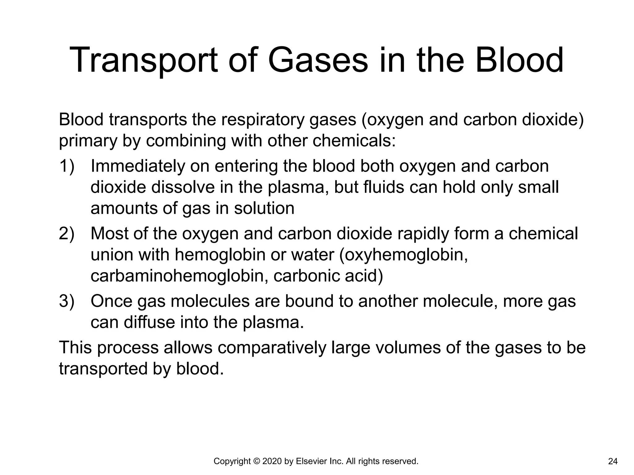 Lesson 6 - Respiratory system.pptx