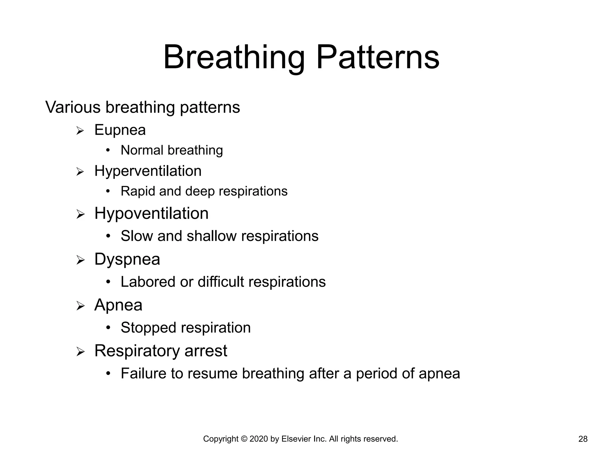 Lesson 6 - Respiratory system.pptx