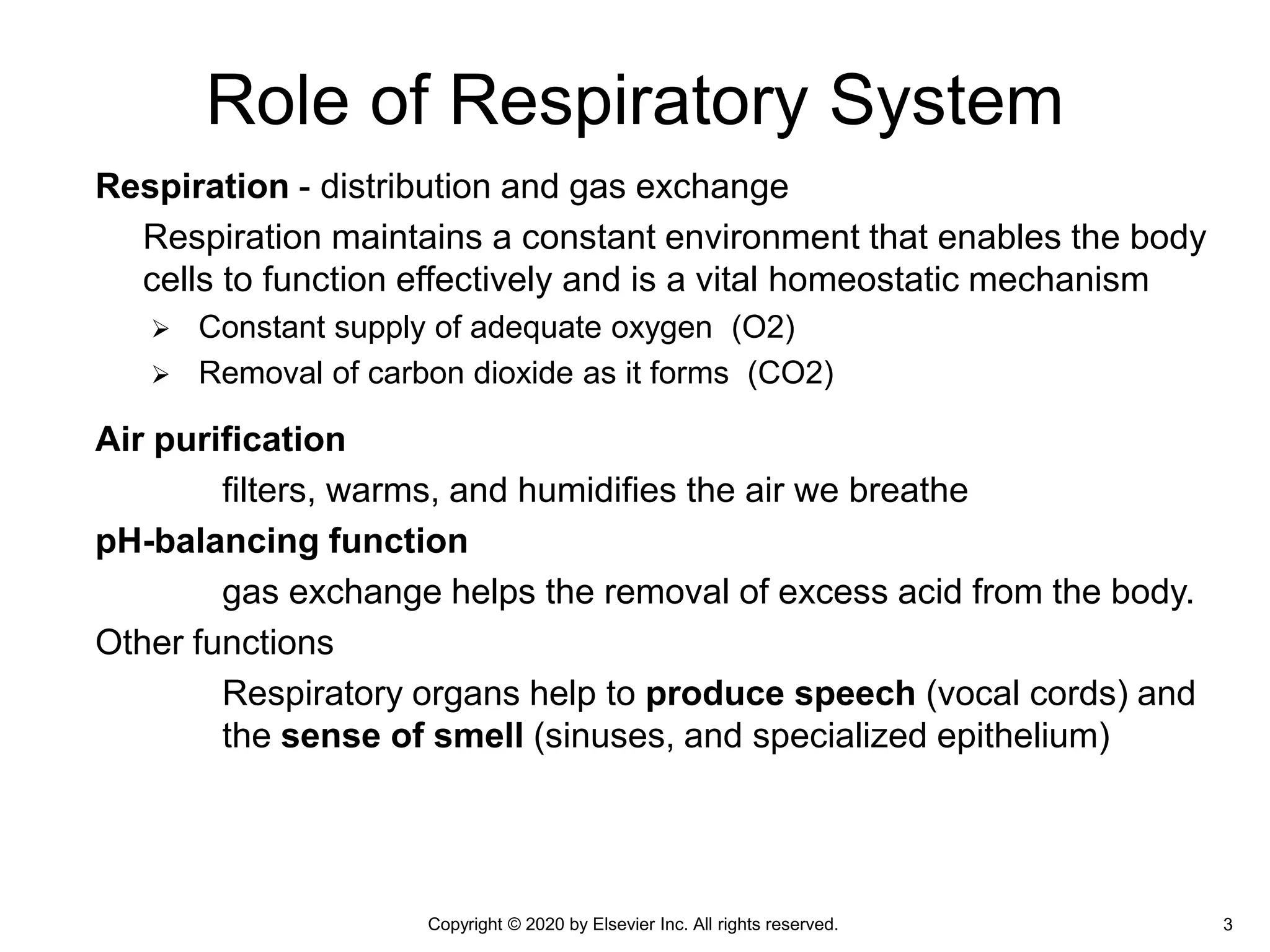 Lesson 6 - Respiratory system.pptx