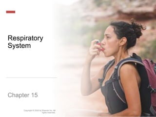 Lesson 6 - Respiratory system.pptx