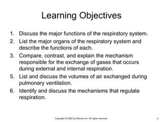 Lesson 6 - Respiratory system.pptx