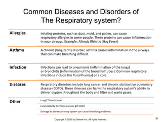 Lesson 6 - Respiratory system.pptx