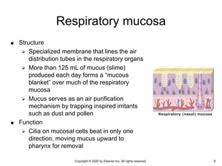 Lesson 6 - Respiratory system.pptx