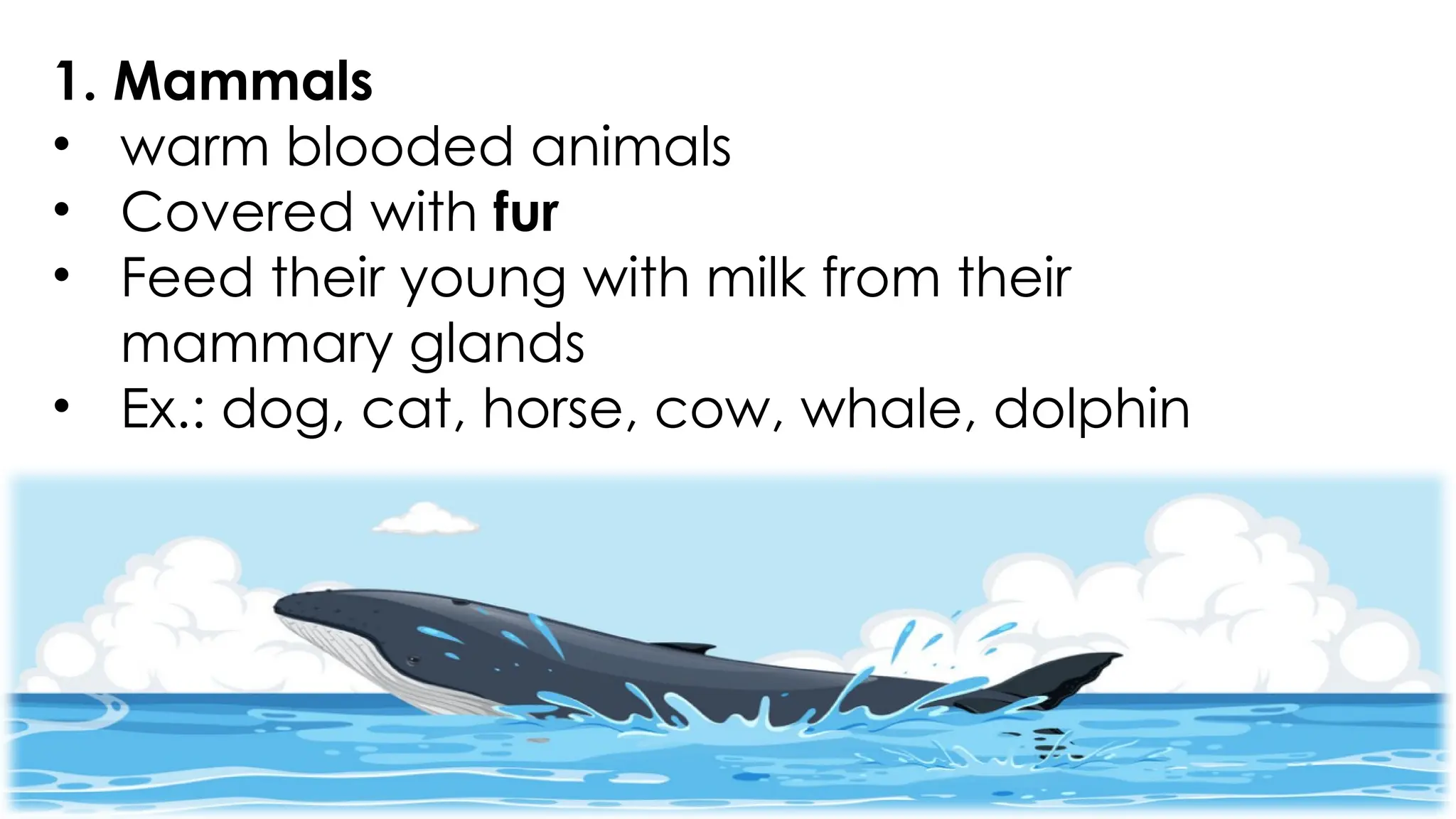 BODY PARTS OF ANIMALS THAT HELP THEM SURVIVE .pptx | Birds | Pets