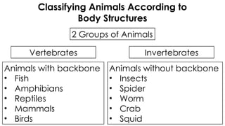 BODY PARTS OF ANIMALS THAT HELP THEM SURVIVE .pptx