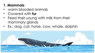 BODY PARTS OF ANIMALS THAT HELP THEM SURVIVE .pptx | Birds | Pets