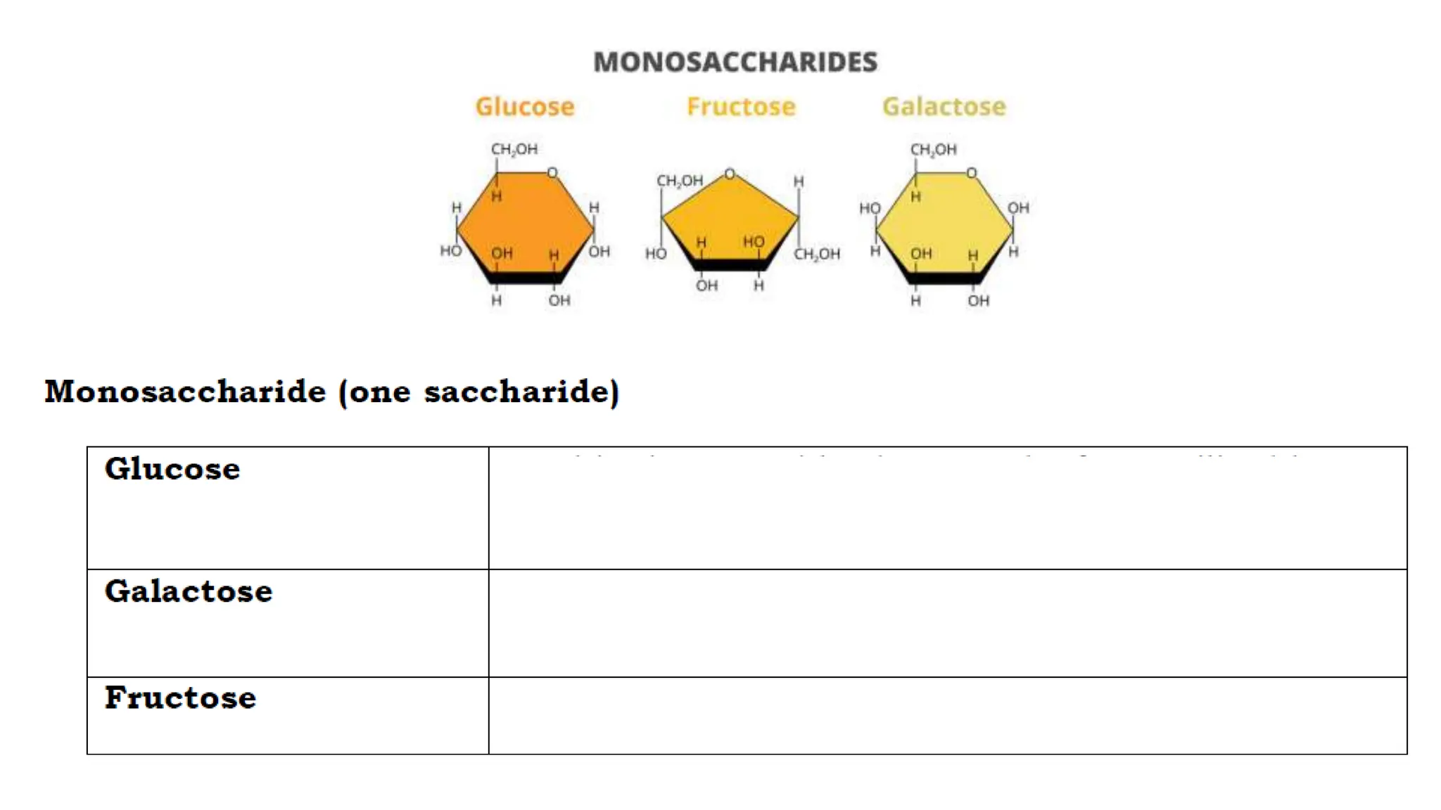 Lesson 6: Biological Macromolecules.pptx | Chemistry | Science