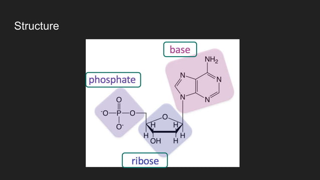 Lesson 6: Biological Macromolecules.pptx | Chemistry | Science