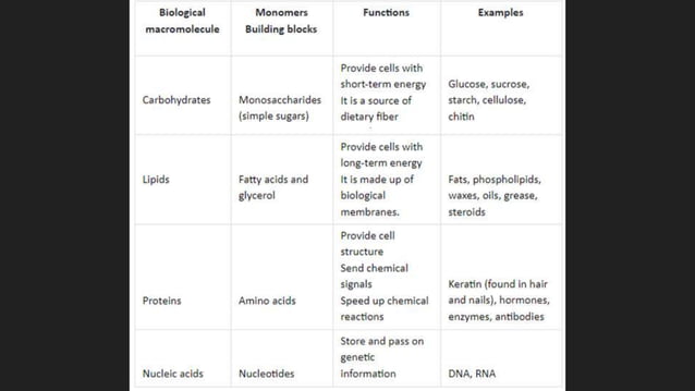 Lesson 6: Biological Macromolecules.pptx | Chemistry | Science