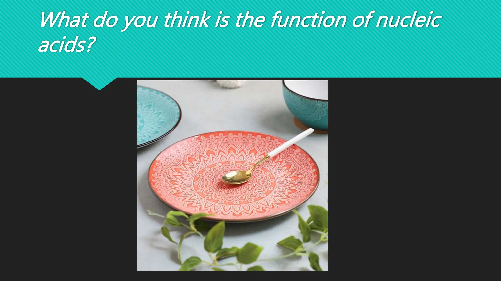 Lesson 6 Biomolecules of Physical Science Module.pptx