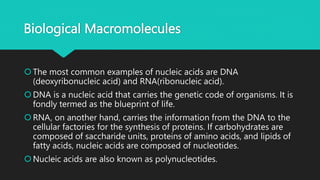 Lesson 6 Biomolecules of Physical Science Module.pptx