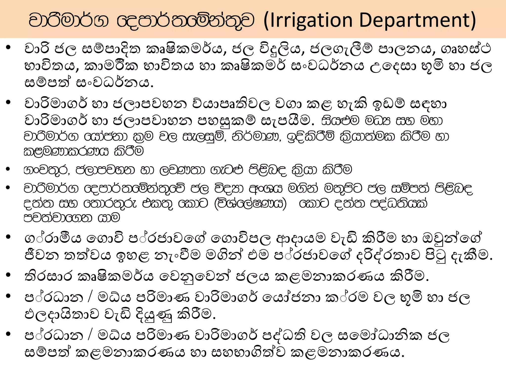 Lesson 6 institutional framework sinhala | PDF