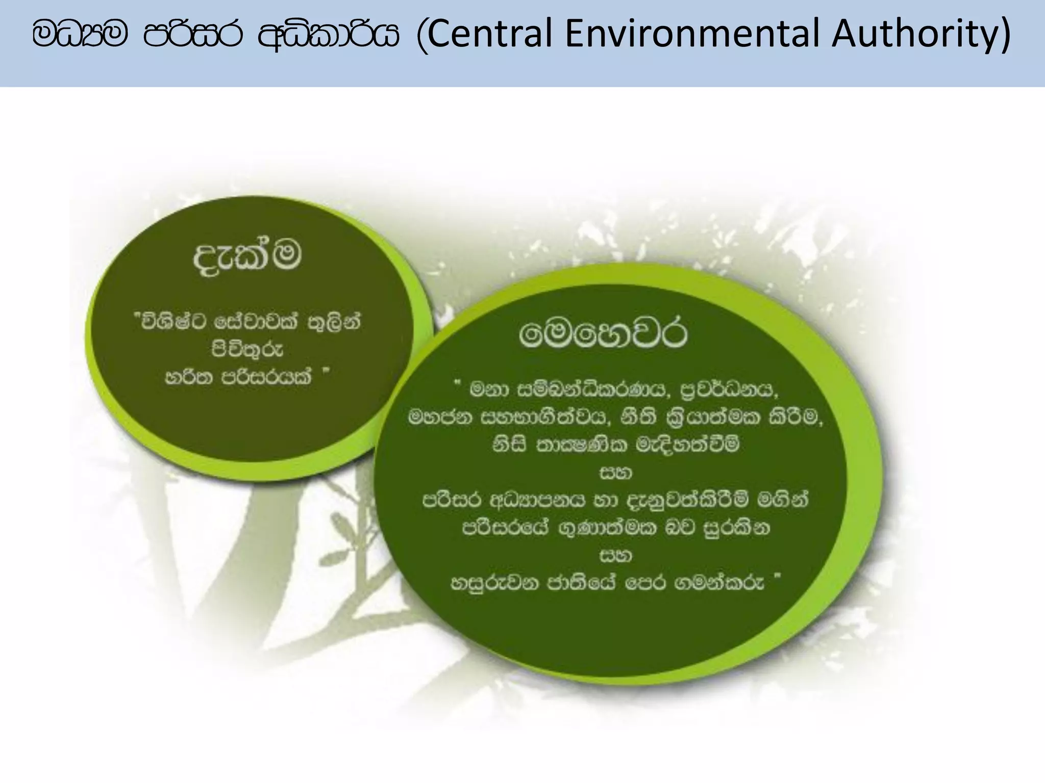 Lesson 6 institutional framework sinhala | PDF