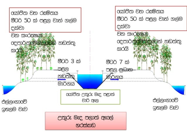 Lesson 6 institutional framework sinhala | PPT