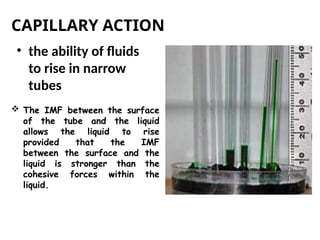 LESSON 6_.....INTERMOLECULAR FORCES.pptx