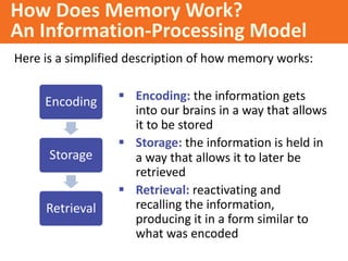 Lesson_6_Memory. An- Information-Processing Model | PDF | Data Storage and Warehousing | Computing