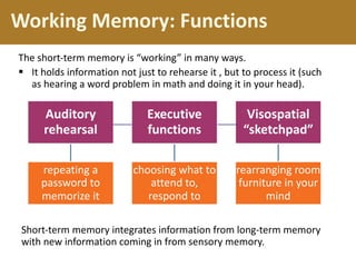 Lesson_6_Memory. An- Information-Processing Model | PDF | Data Storage and Warehousing | Computing