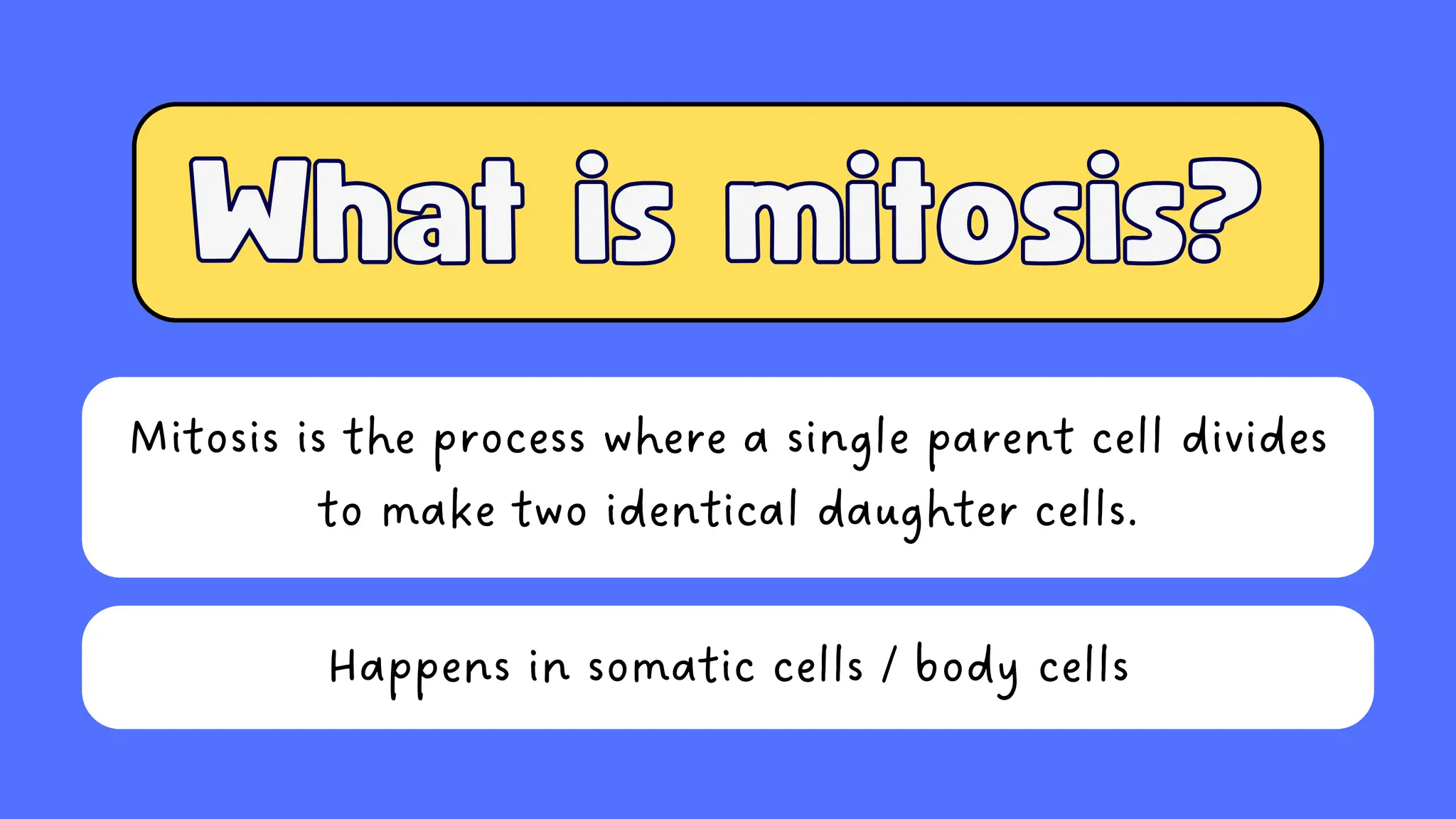 Mitosis, a process of cell duplication, or reproduction, during which ...