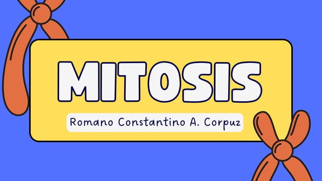 Mitosis, a process of cell duplication, or reproduction, during which ...