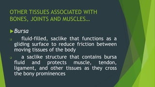 Lesson 6 (Other Tissues and Motor Unit).pptx