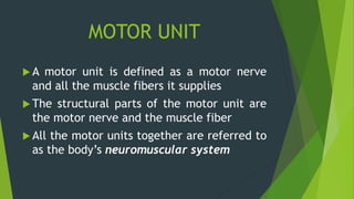 Lesson 6 (Other Tissues and Motor Unit).pptx