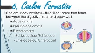 Lesson 6 parameters of animal classification | PDF
