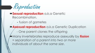 Lesson 6 parameters of animal classification | PDF