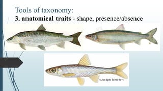 Lesson 6 parameters of animal classification | PDF