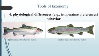 Lesson 6 parameters of animal classification | PDF