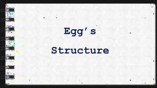 lesson6physicalstructureandcompositionofegg-190220011246.pptx