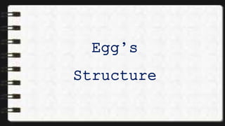 Lesson 6 Physical Structure and Composition of Egg | PPTX