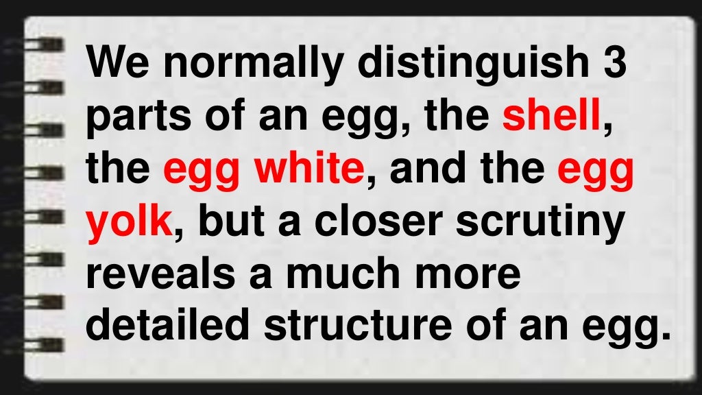 lesson-6-physical-structure-and-composition-of-egg