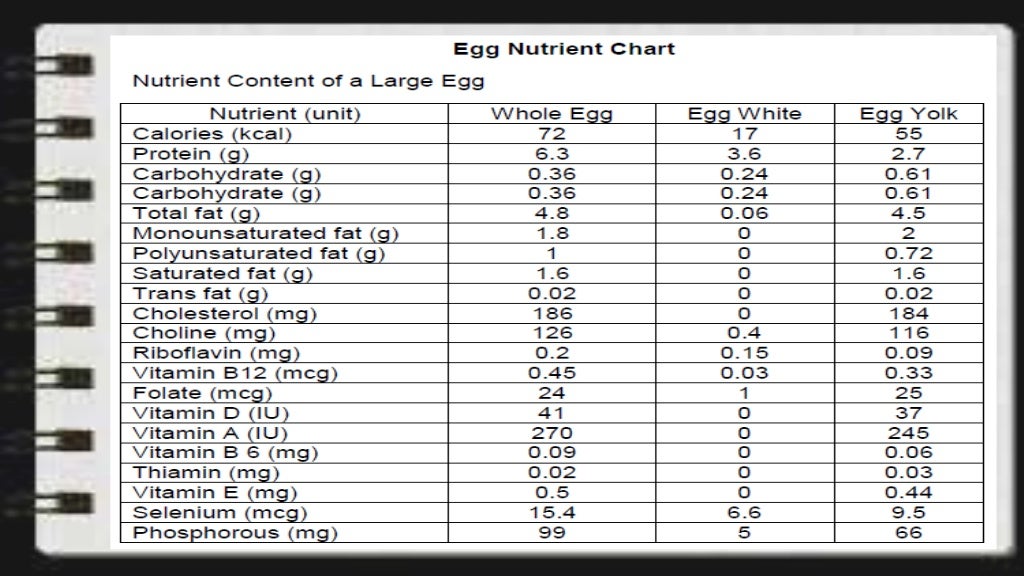 lesson-6-physical-structure-and-composition-of-egg